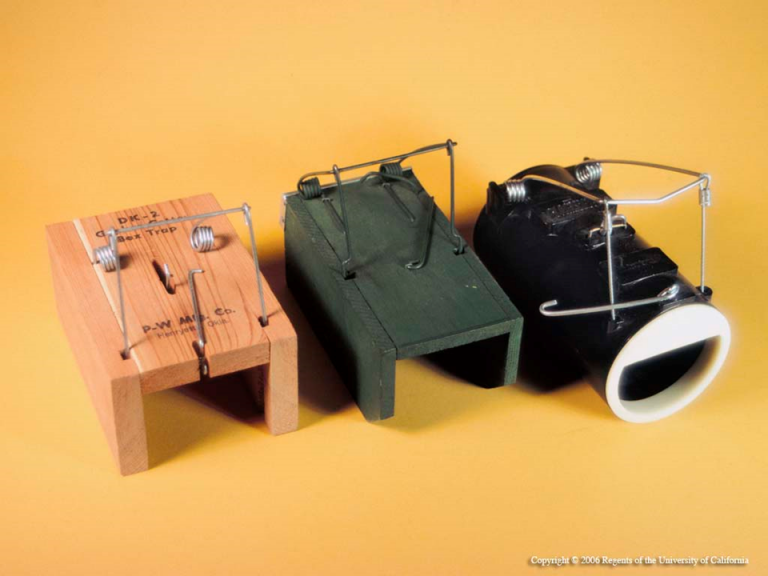 Step by Step Gopher Control