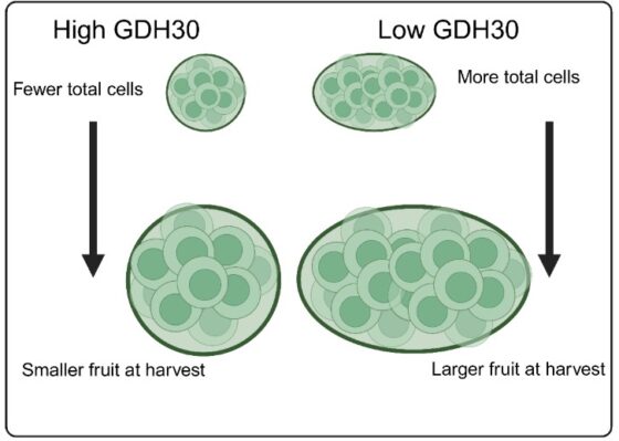 GDH30 for 2025: where we stand and what it means